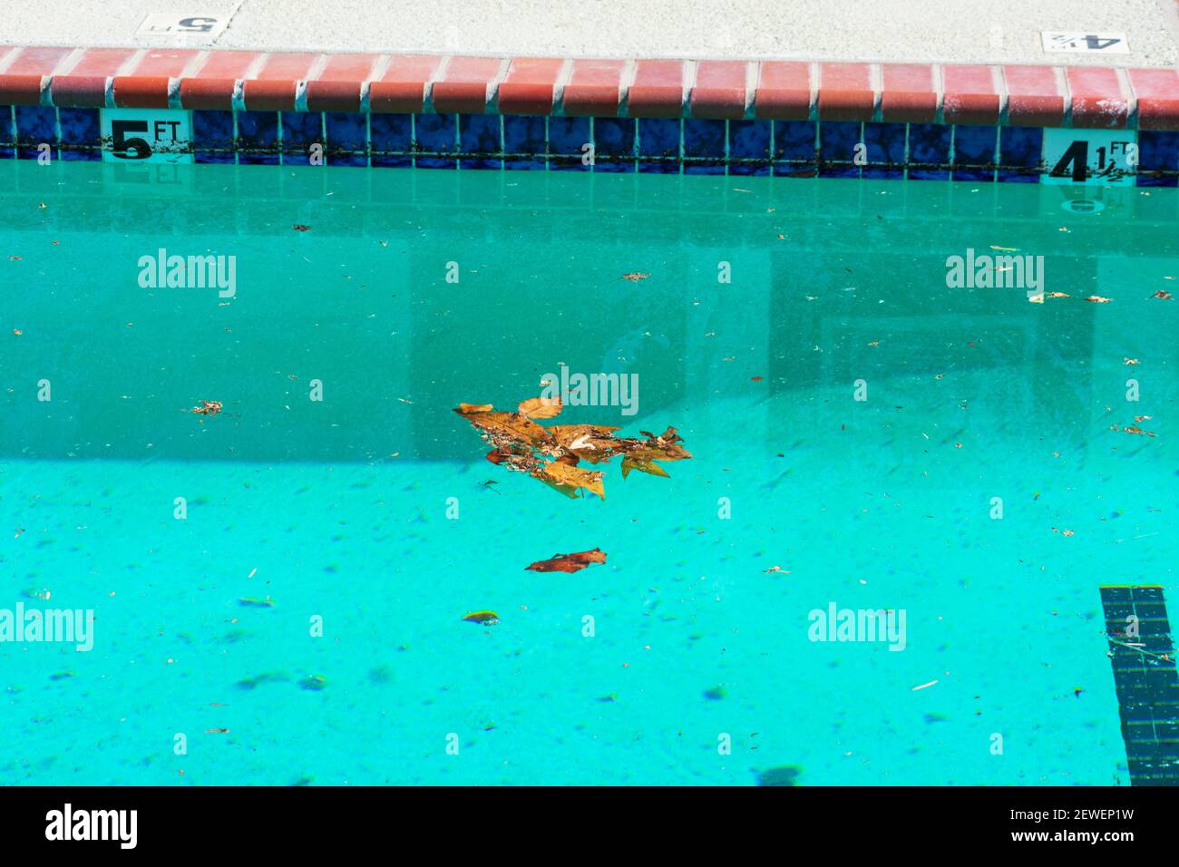 Pool with leaves at the bottom hi-res stock photography and images - Alamy
