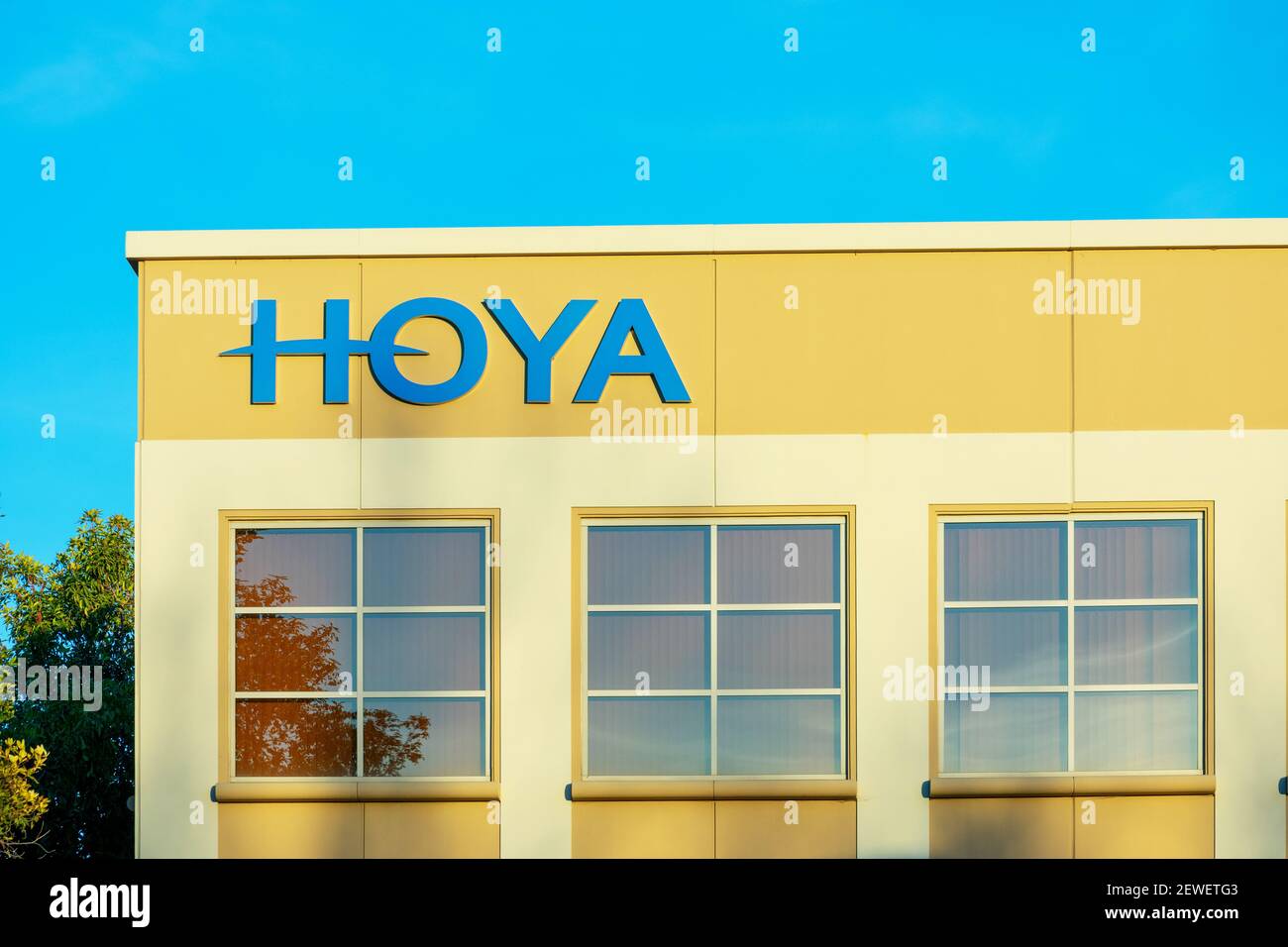 Hoya japan hi-res stock photography and images - Alamy