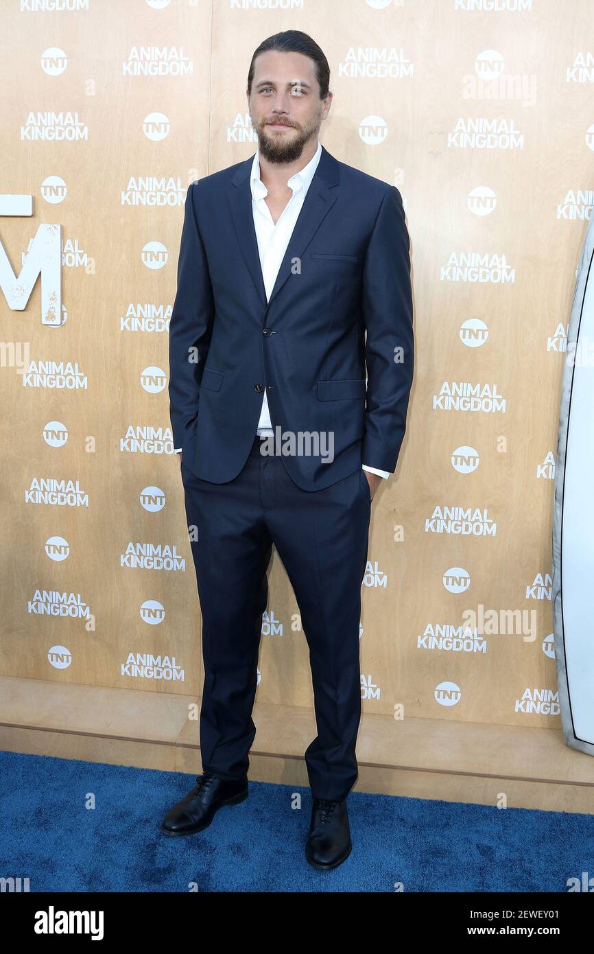 Ben Robson at TNT 'Animal Kingdom' S1 Premiere held at The Rose Room on ...