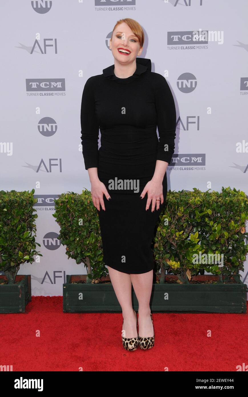 Bryce Dallas Howard. Arrivals for the American Film Institute's 44th ...