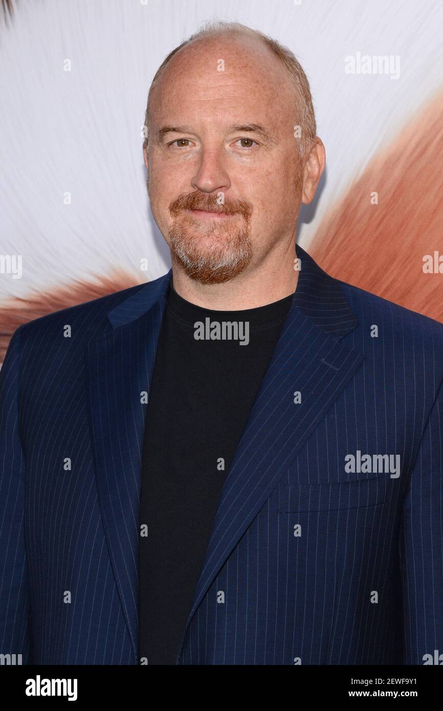 The secret lives of animals hi-res stock photography and images - Alamy