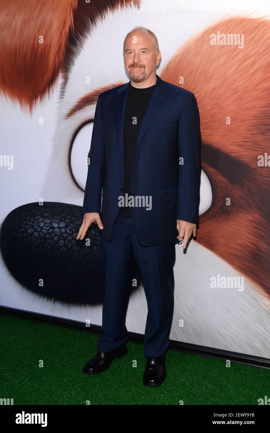 The secret lives of animals hi-res stock photography and images - Alamy