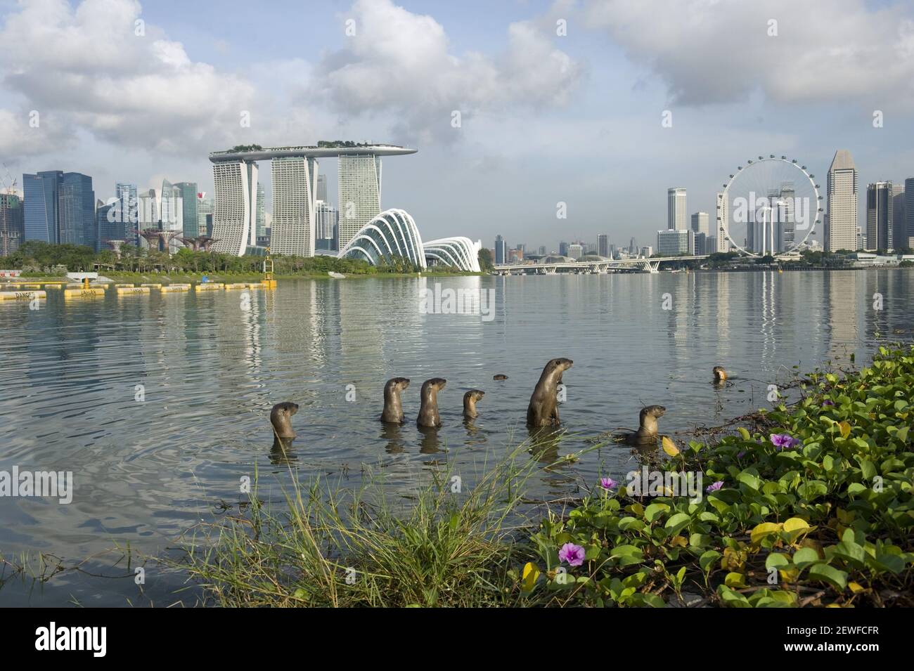 (160701) -- SINGAPORE, July 1, 2016 (Xinhua) -- File photo taken on May ...
