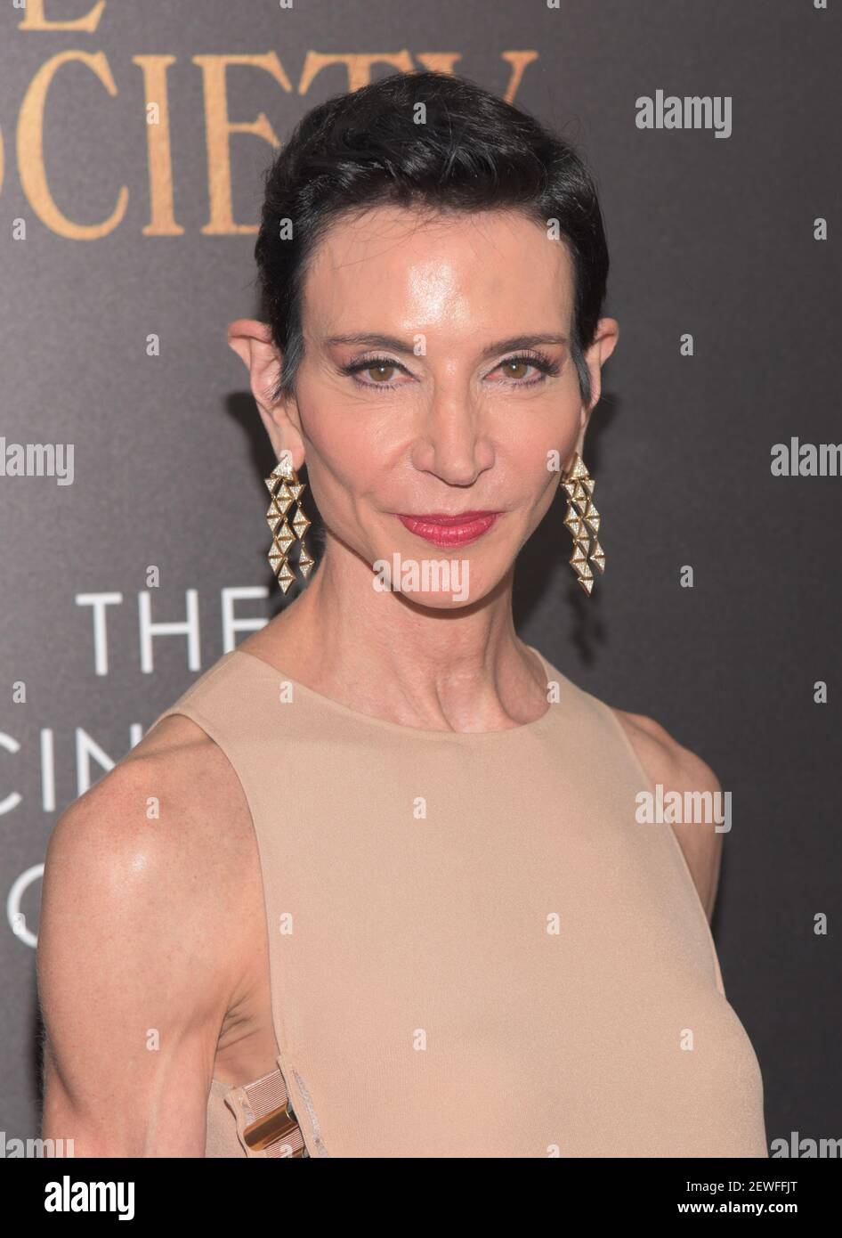 Amy Fine Collins attends Amazon & Lionsgate with The Cinema Society ...