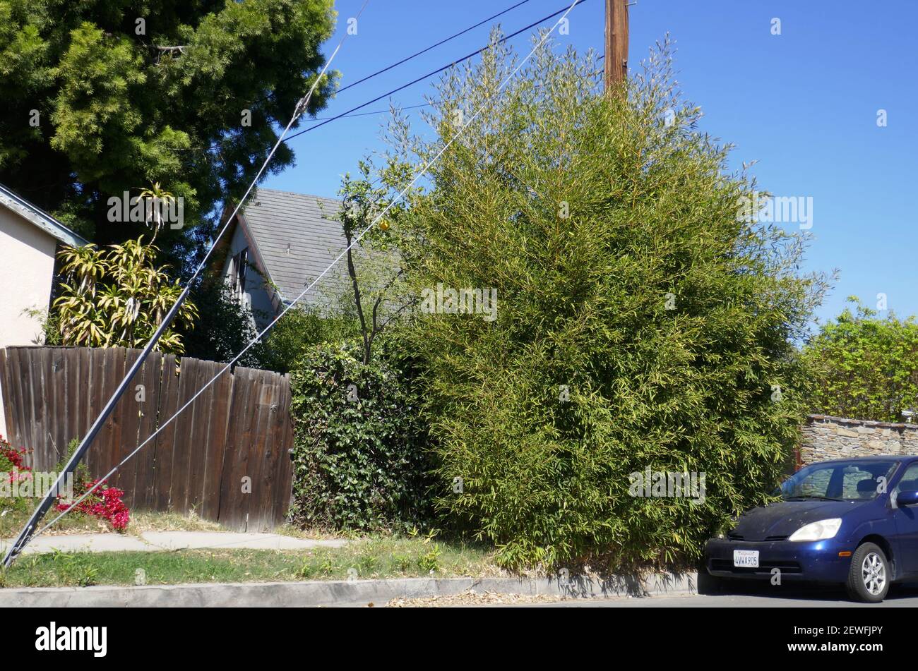 Los Angeles, California, USA 2nd March 2021 A general view of ...