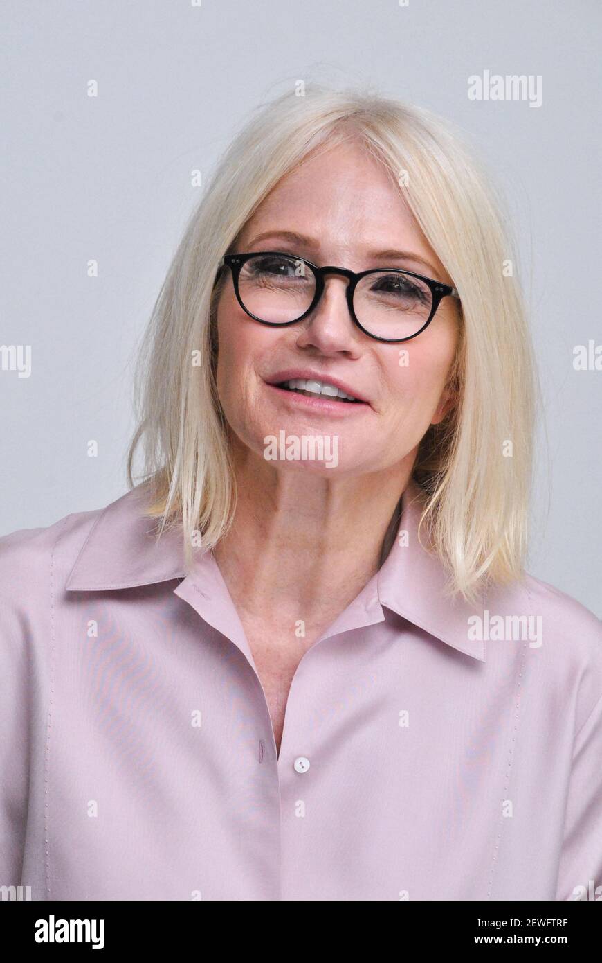 Ellen Barkin at the Hollywood Foreign Press Association press ...