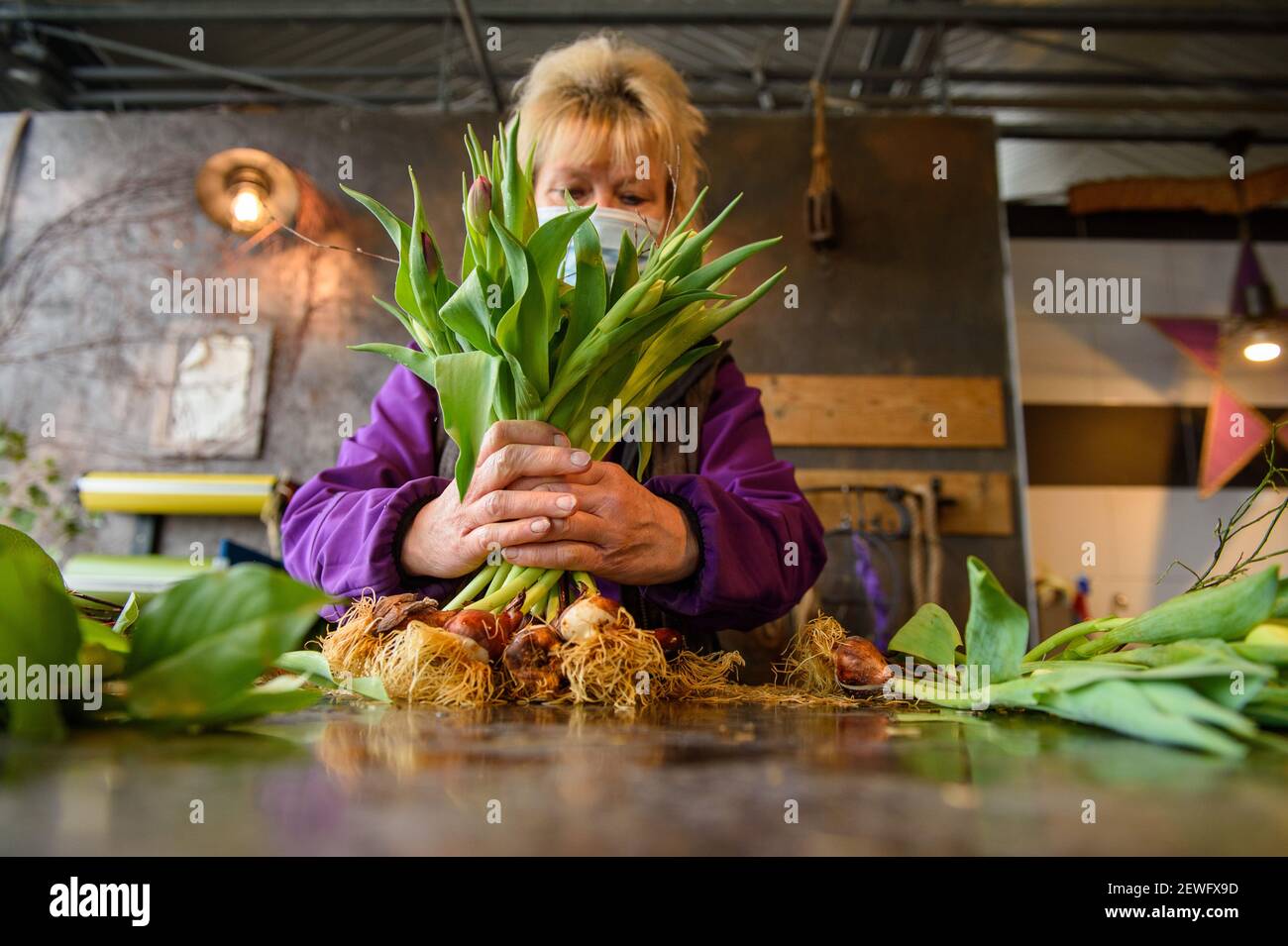 Tulpina hi-res stock photography and images - Alamy