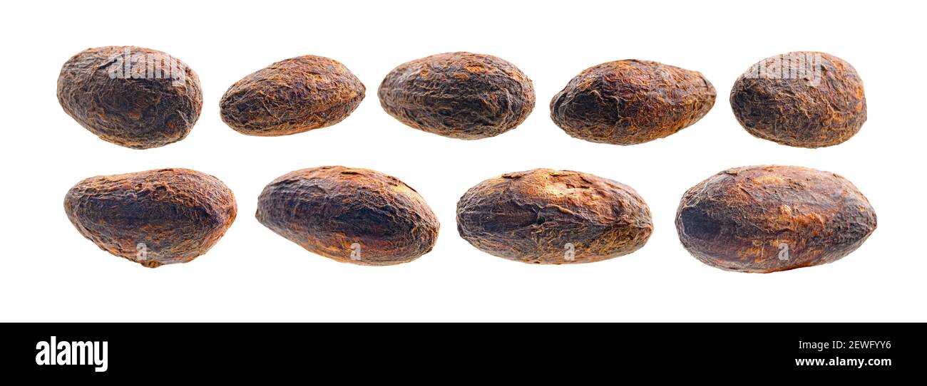 A set of cocoa beans. Isolated on a white background Stock Photo - Alamy