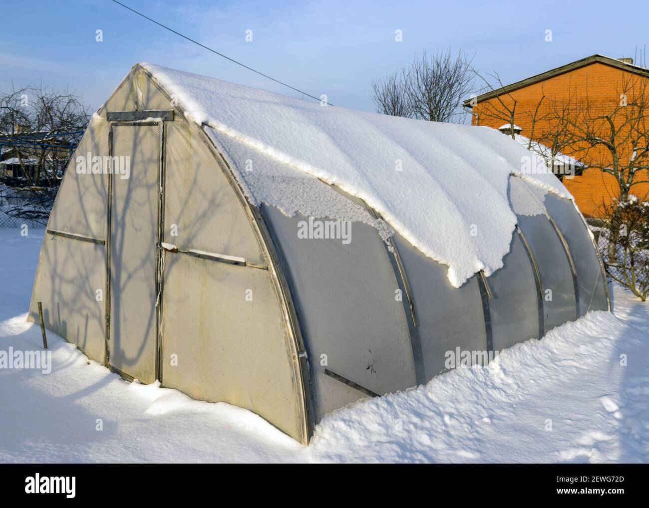 picture with snow - covered greenhouse on a sunny winter day Stock ...