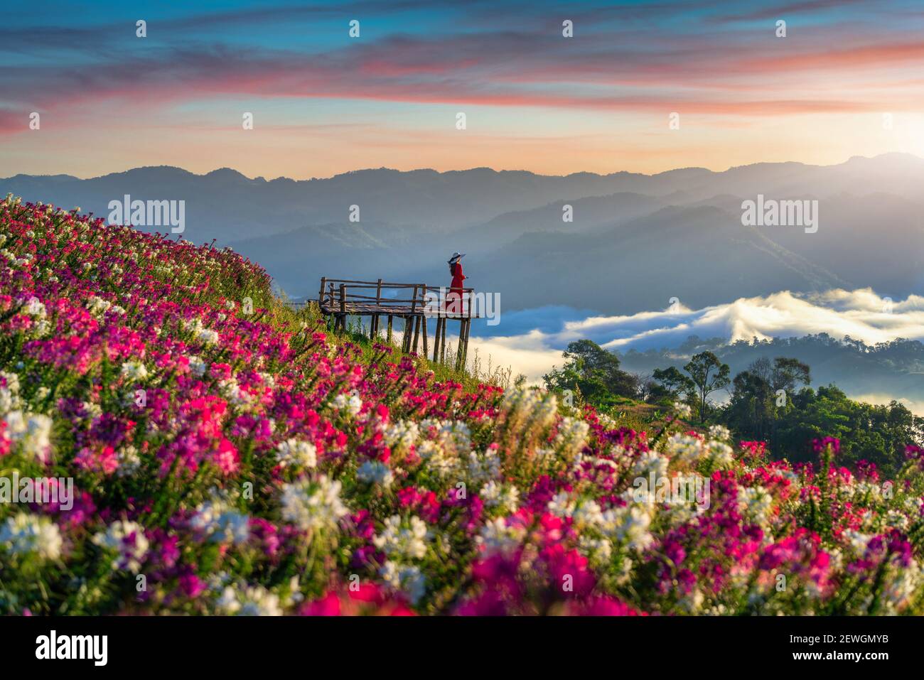 Tak province hi-res stock photography and images - Alamy