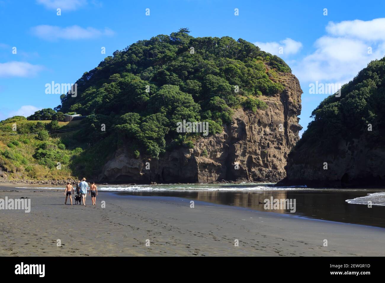 O'Neill Bay in the western Auckland Region, New Zealand. Erangi Point ...