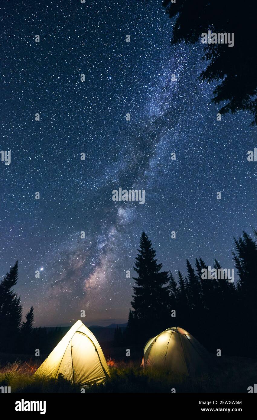 Vertical shot of tourist camping in forest, warm summer evening. Two illuminated tents under ...