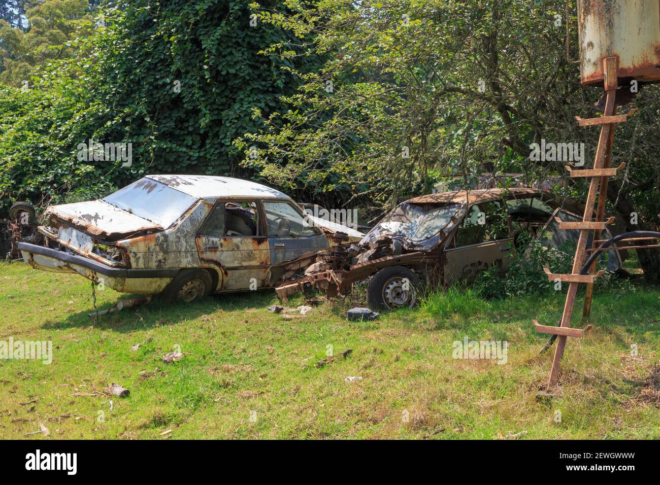 Old abandoned cars, rusting away on a farm Stock Photo - Alamy