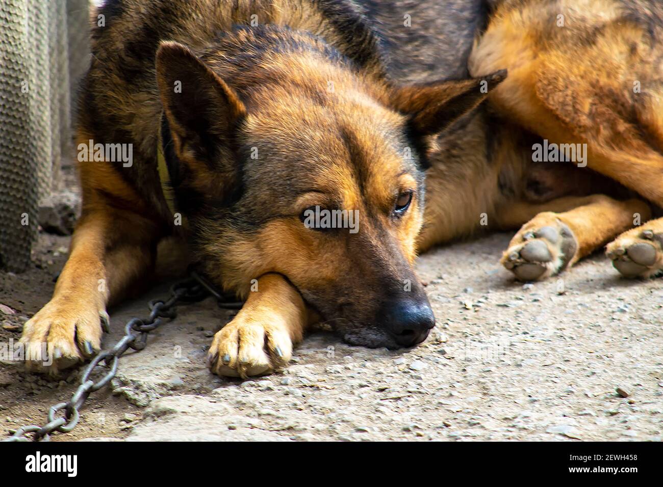 German guard booth hi-res stock photography and images - Alamy