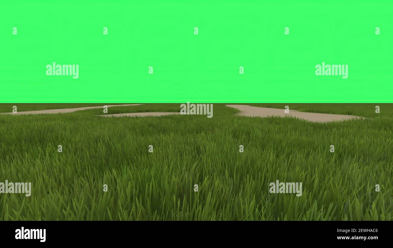 3D illustration - green field on green screen in background Stock Photo ...