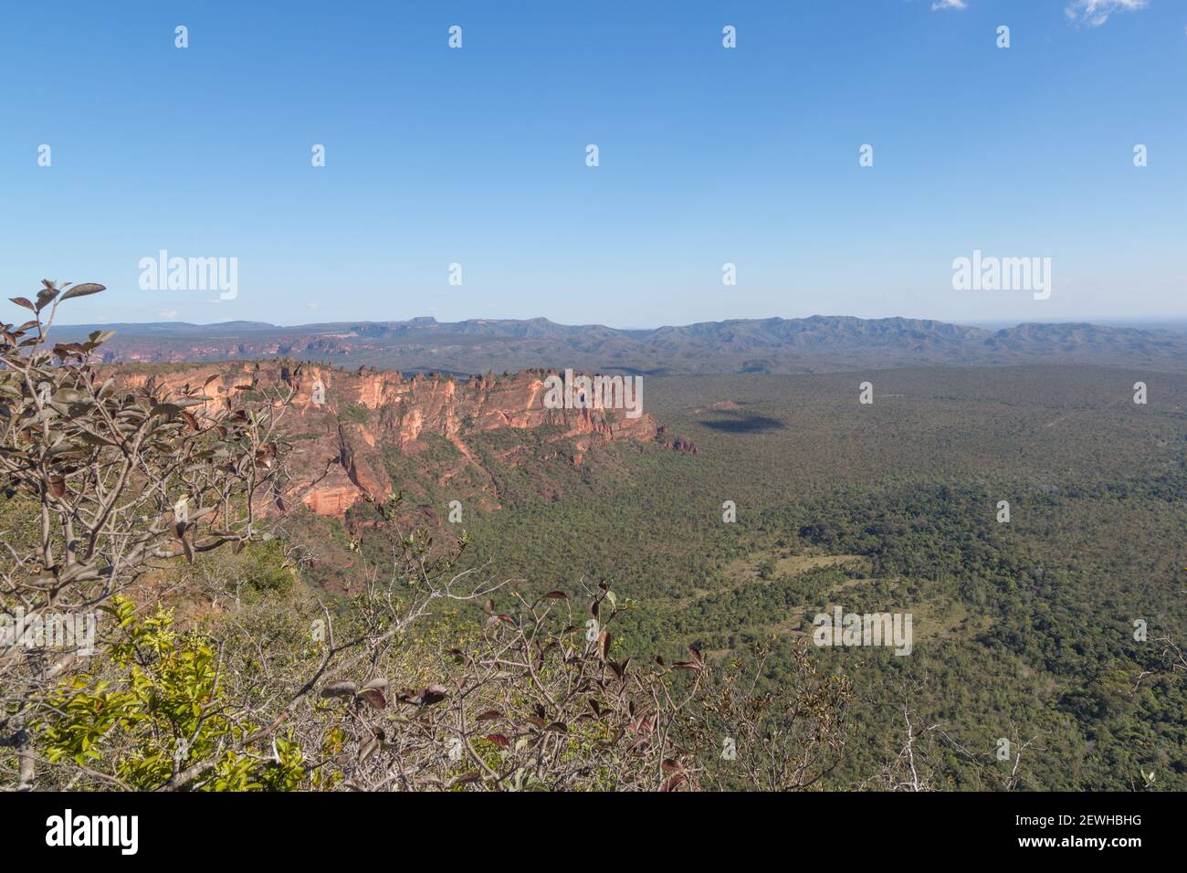 Cerrado landscape brazil hi-res stock photography and images - Alamy