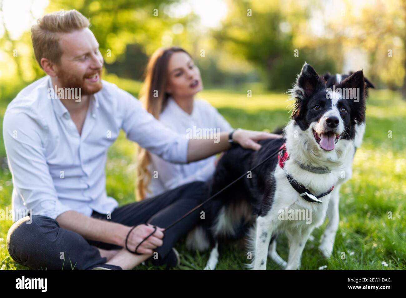 Couple playing with their dogs in the park Stock Photo - Alamy