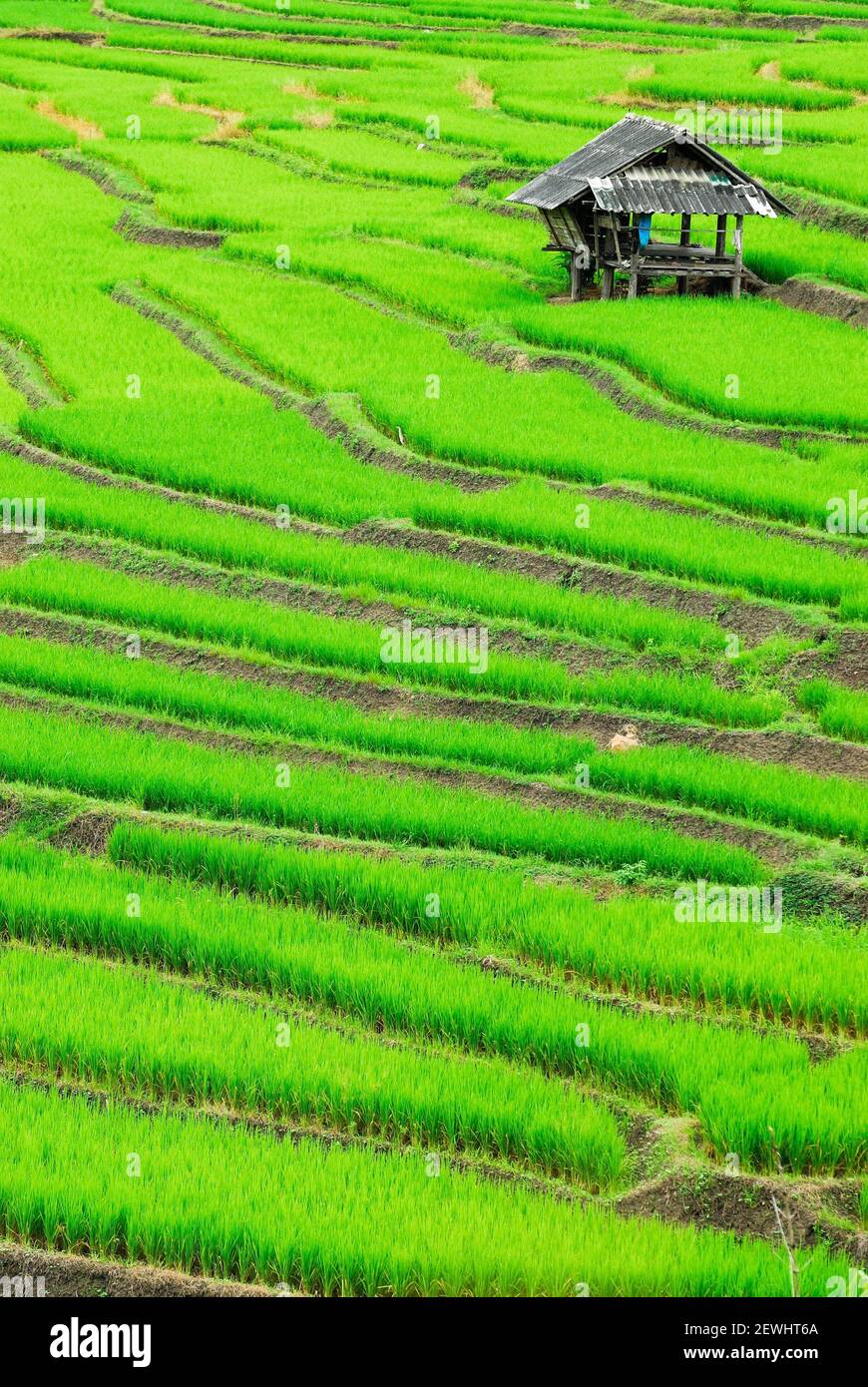 Mae chaem district hi-res stock photography and images - Alamy