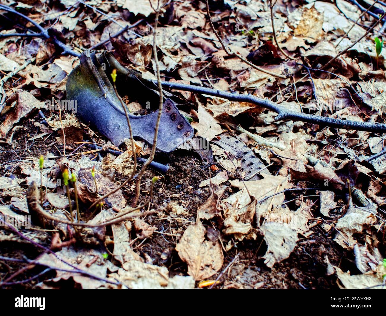 old shoe lies in the grass, Moscow Stock Photo - Alamy