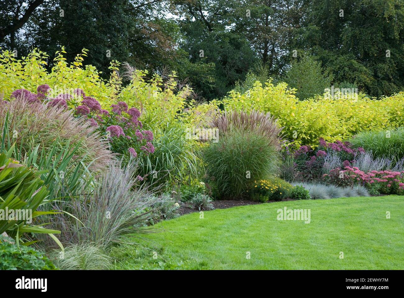 Spring Morning In An English Garden High Resolution Stock Photography ...