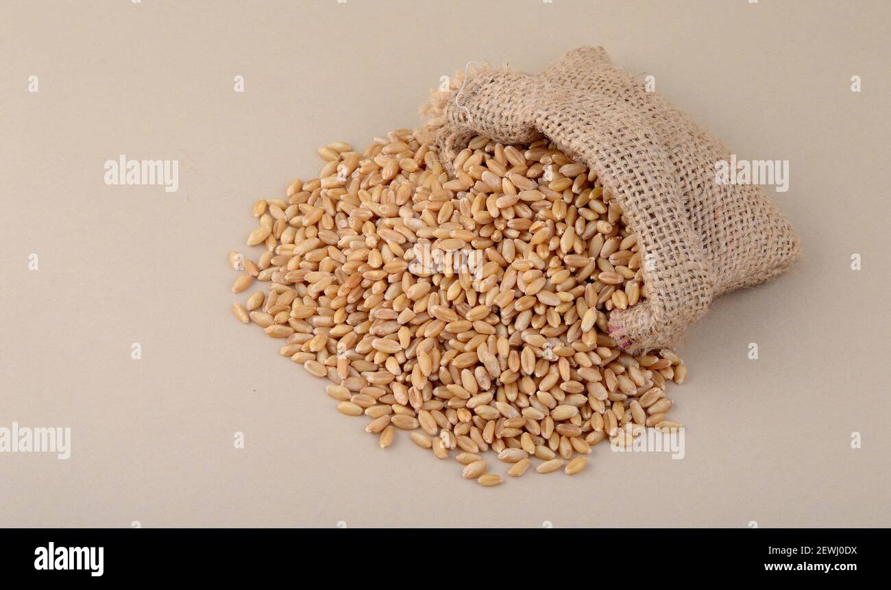 Wheat sack hi-res stock photography and images - Alamy