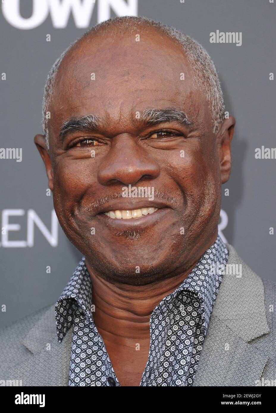 Glynn Turman at the premiere of OWN's "Queen Sugar" at the Warner Bros ...