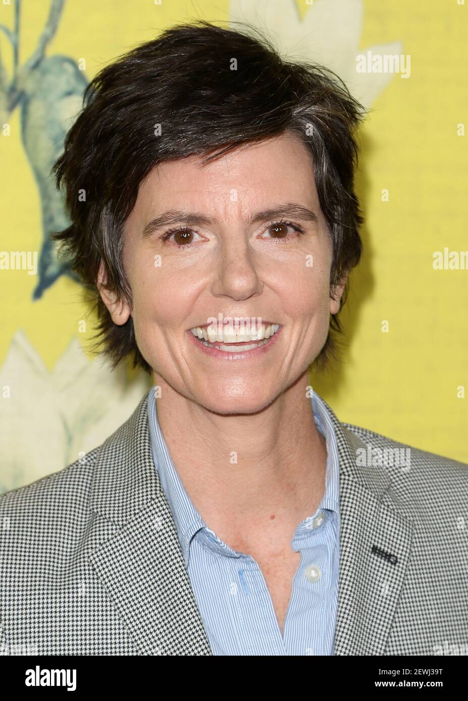 Tig Notaro at Premiere of Amazon's New Series 'One Mississippi' held at ...