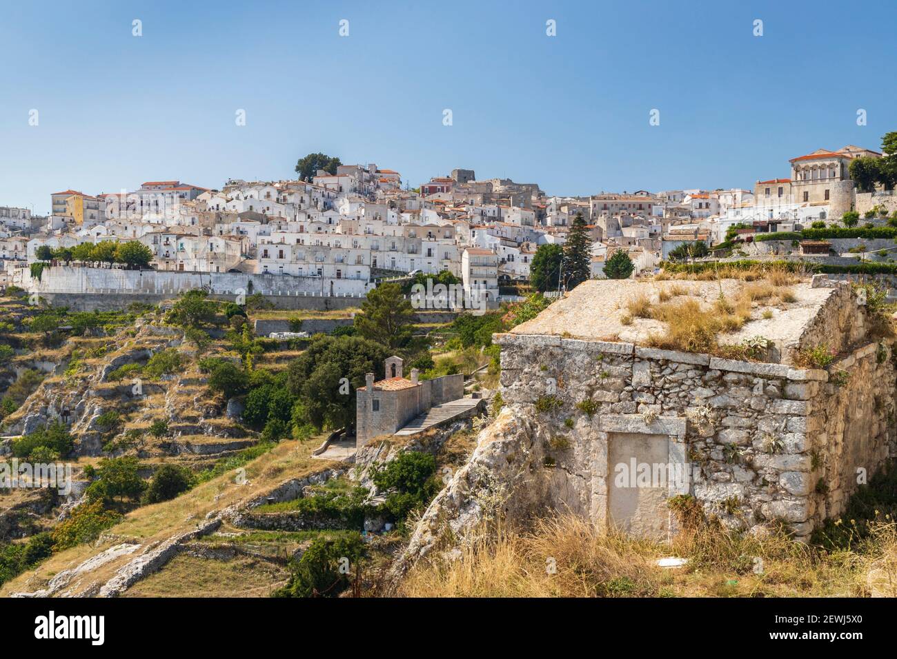 Angelo Monte High Resolution Stock Photography and Images - Alamy