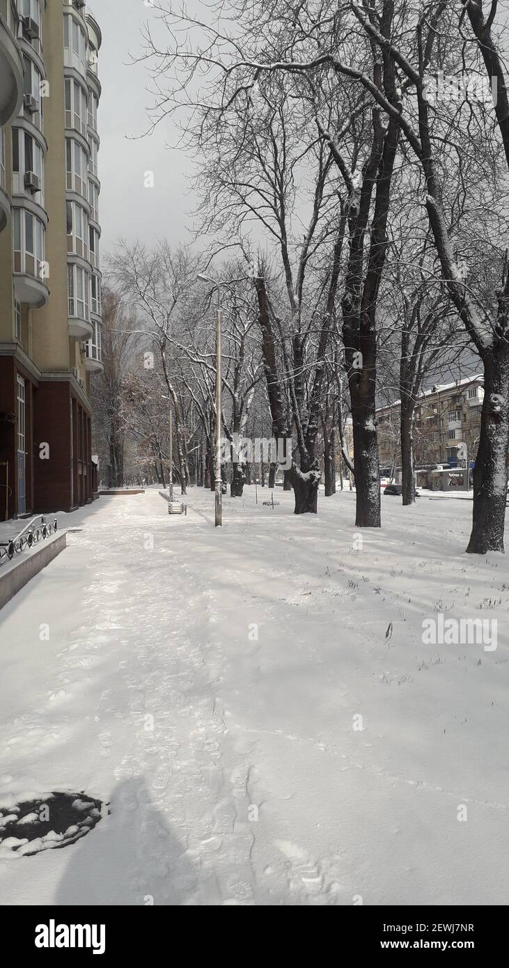 City street covered with snow hi-res stock photography and images - Alamy