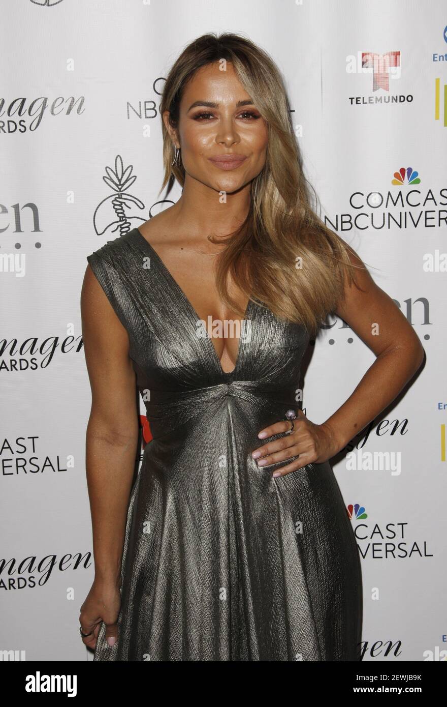 Actress Zulay Henao attends the 31st Annual Imagen Awards at The ...