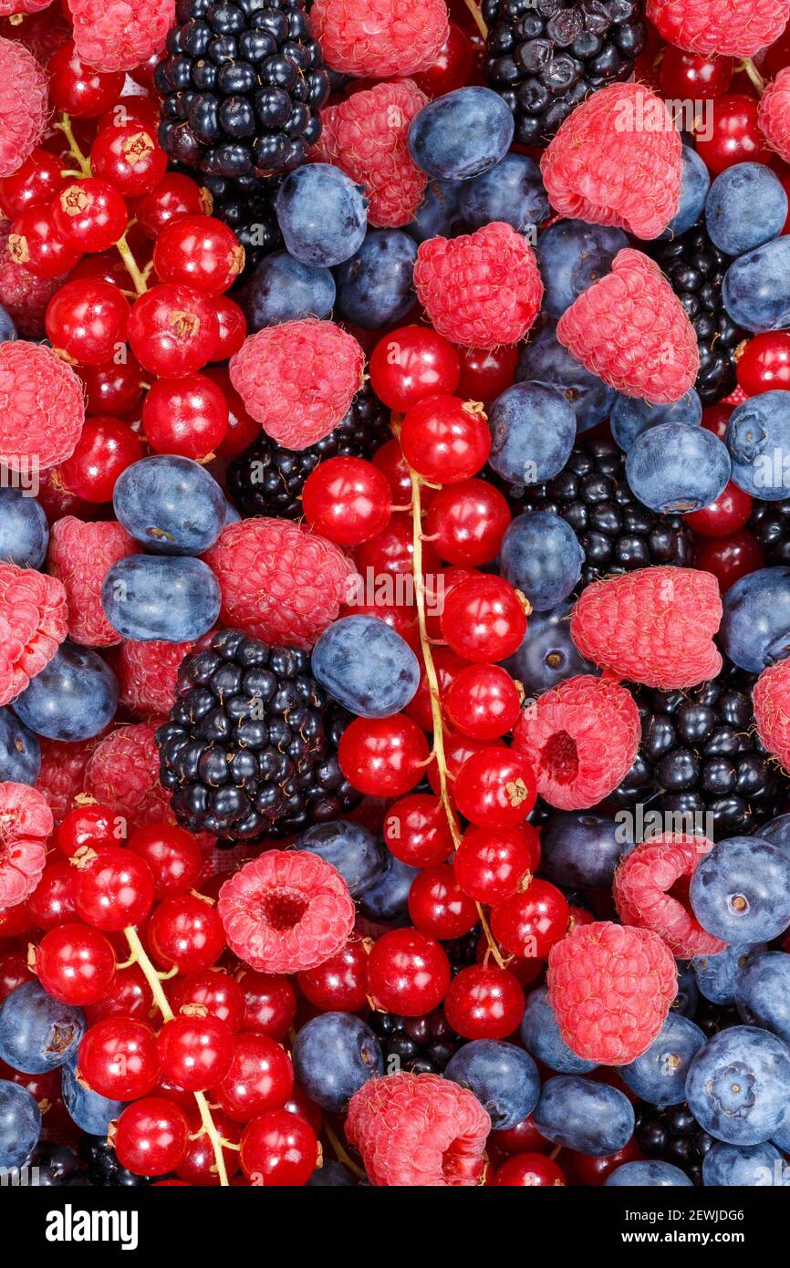 Berries berry fruits collection food background portrait format fruit ...
