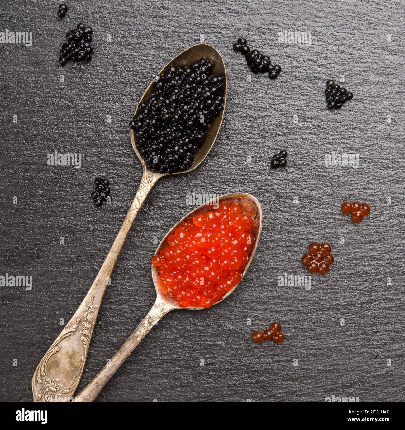 black caviar of paddlefish fish and red chum salmon caviar in a spoon ...