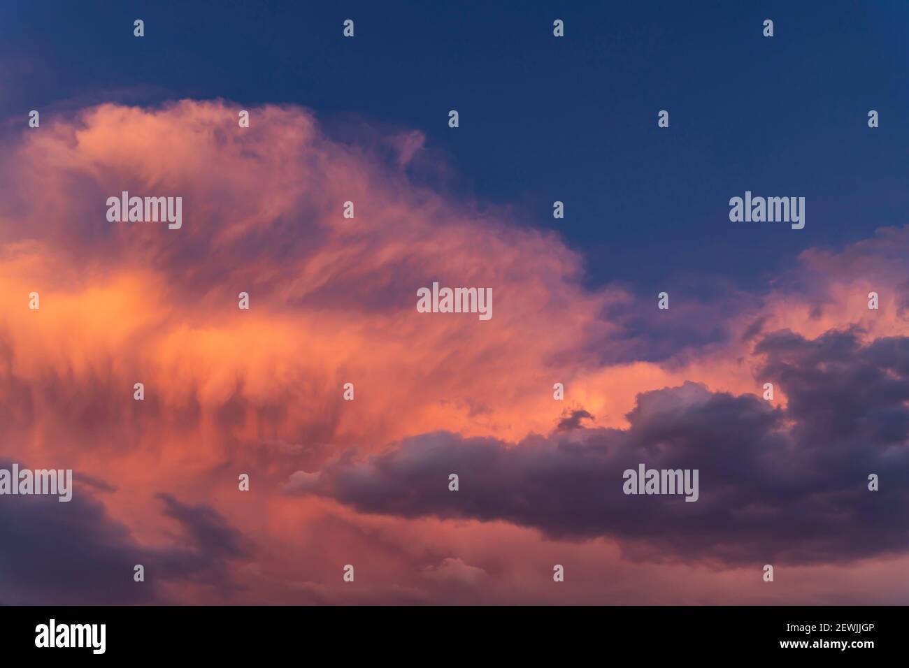 Light orange colors hi-res stock photography and images - Alamy