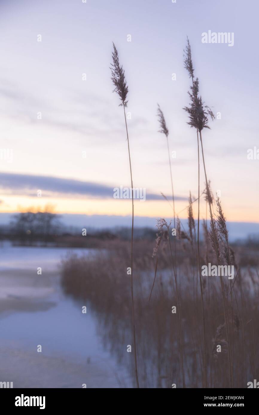 Soft Sunset Sky Background High Resolution Stock Photography and Images ...