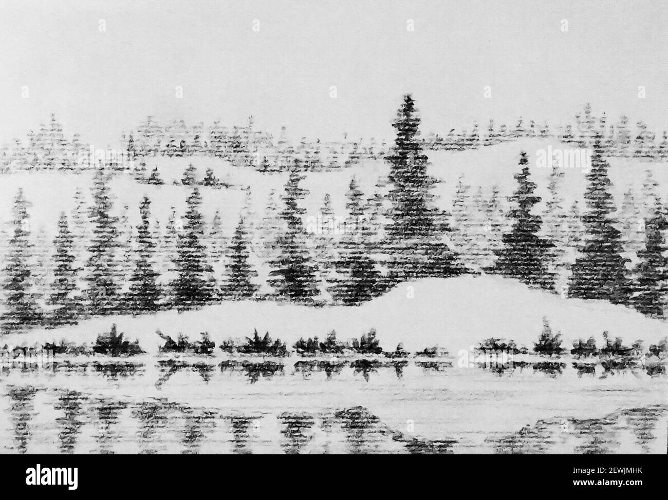 Winter landscape of conifers on the hilly shore by the lake water ...