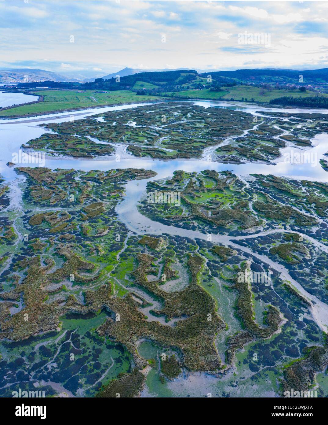 Tidal marsh hi-res stock photography and images - Alamy