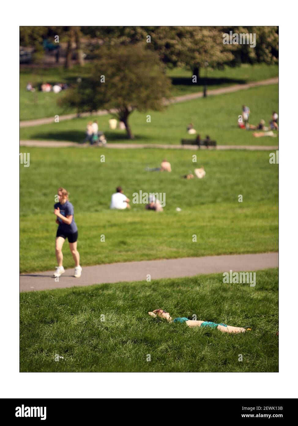 Enjoying the Summer Sun on London's Primrose Hillphotograph by David ...