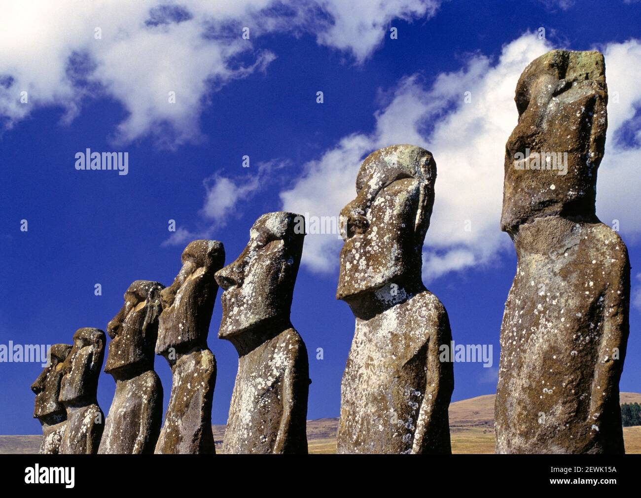 Rapa nui easter island chile hi-res stock photography and images - Alamy