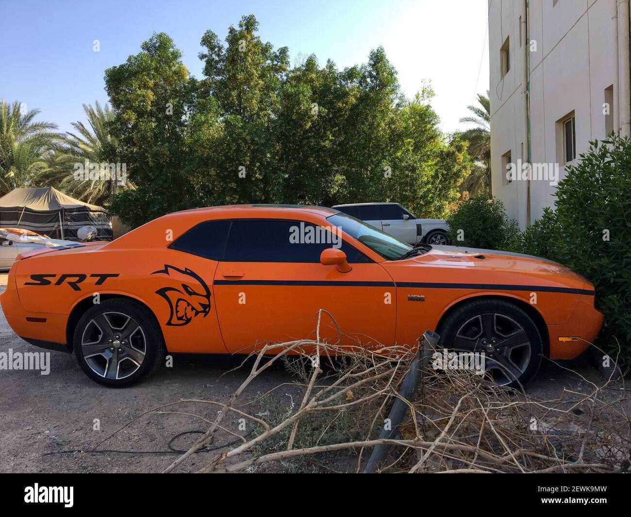 Side view of Dodge car Stock Photo - Alamy