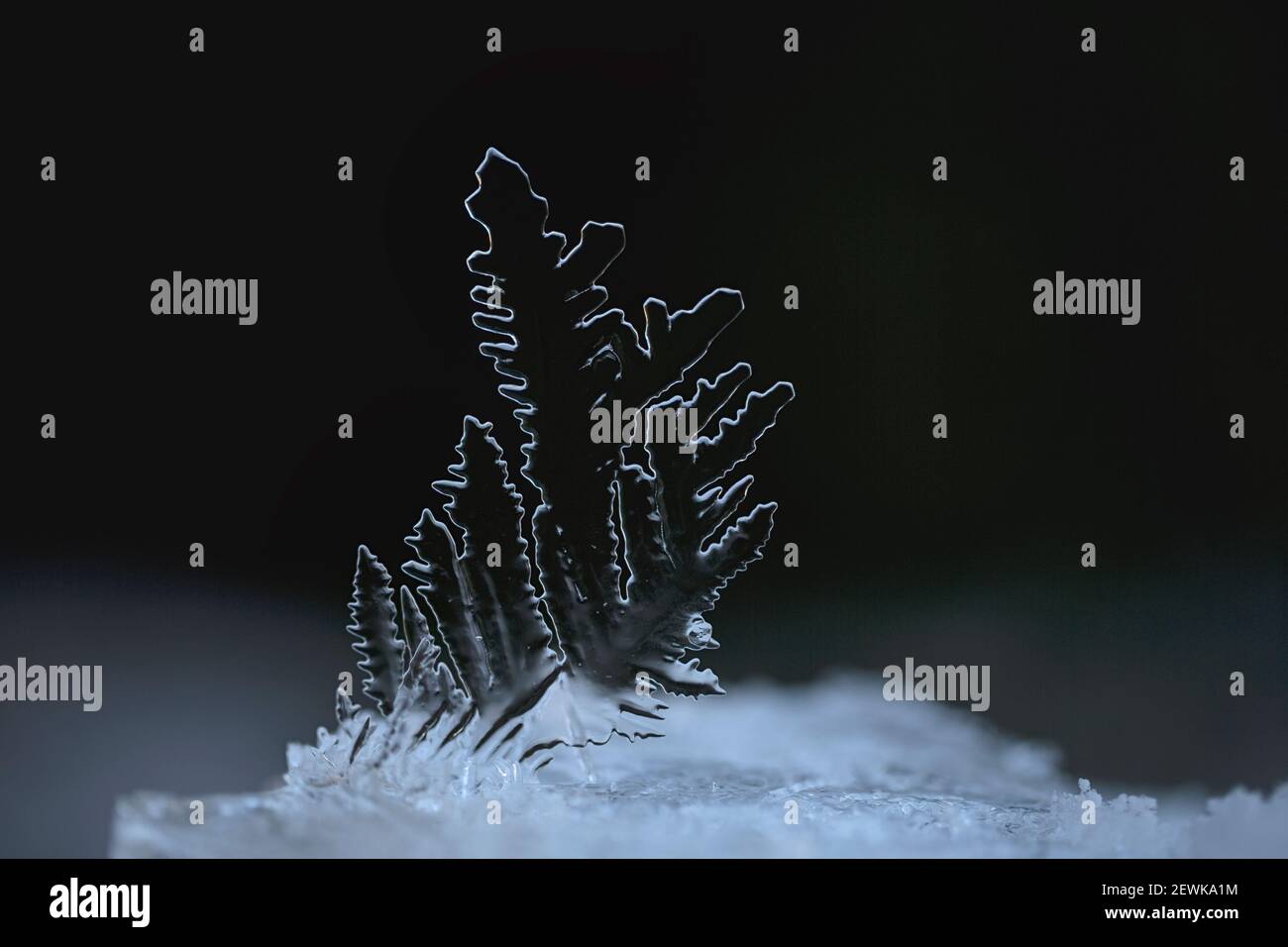 Ice crystal formations Stock Photo - Alamy