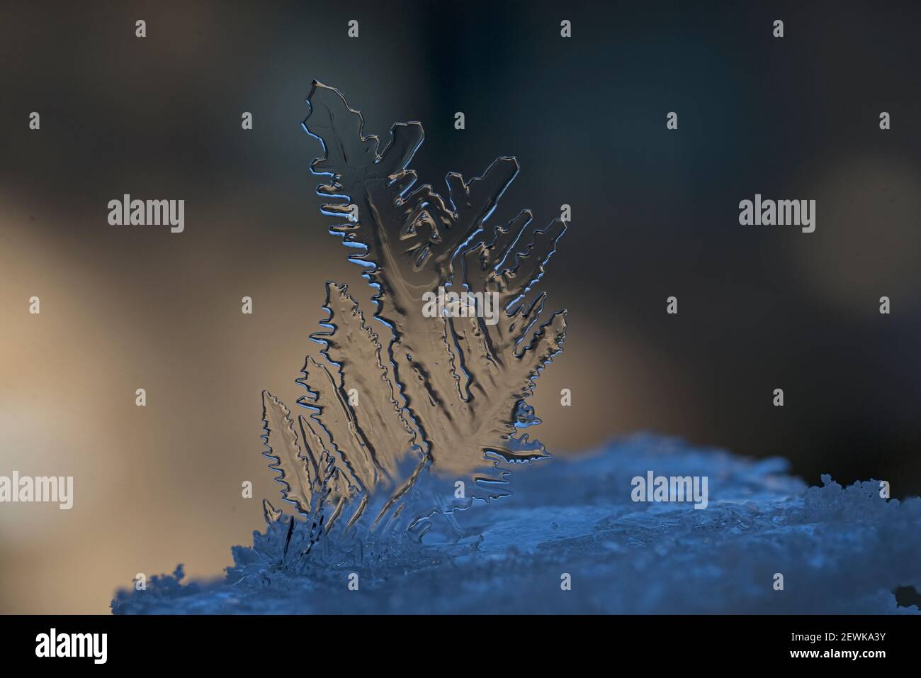 Ice crystal formations Stock Photo - Alamy