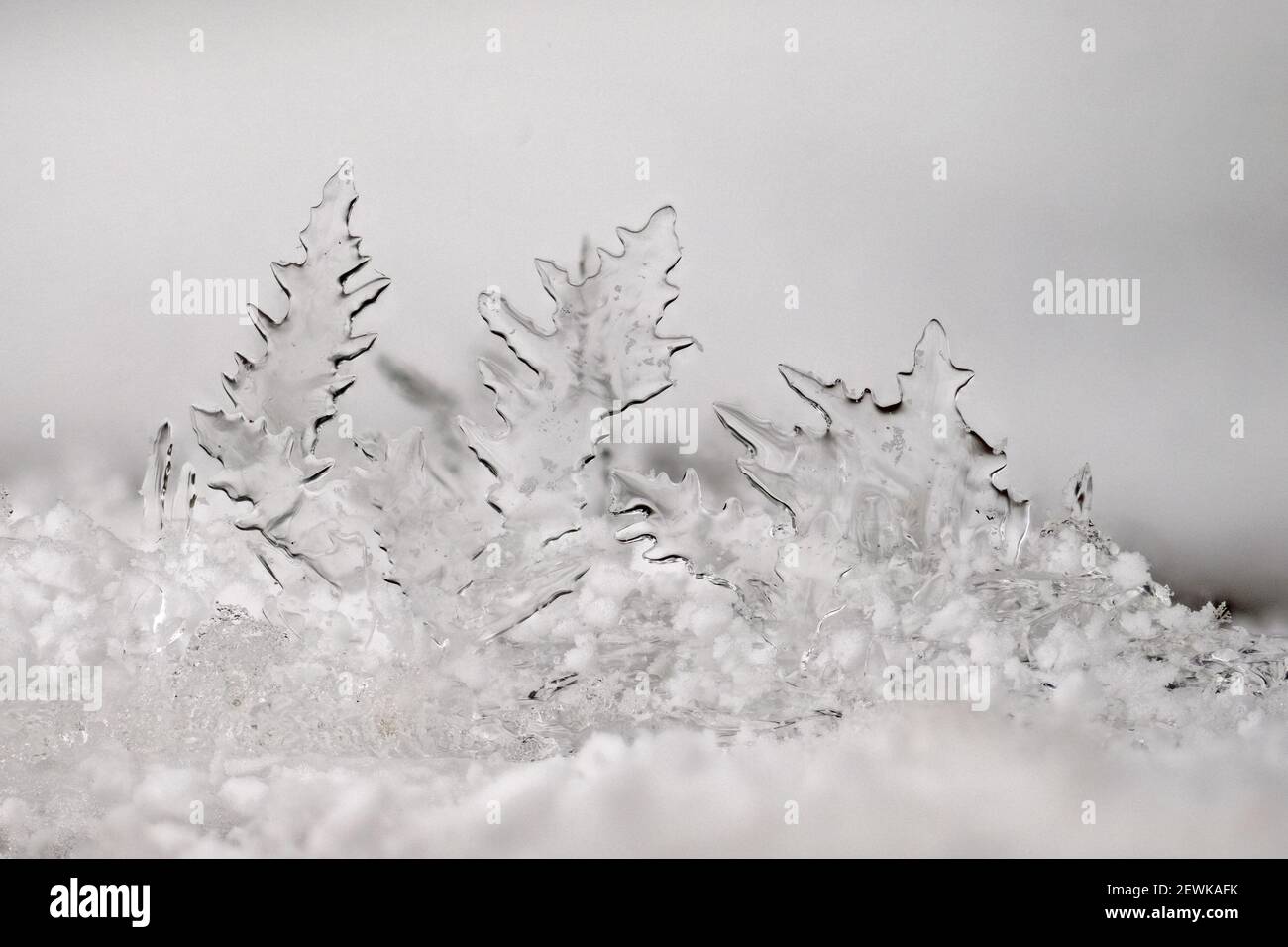 Ice crystal formations Stock Photo - Alamy