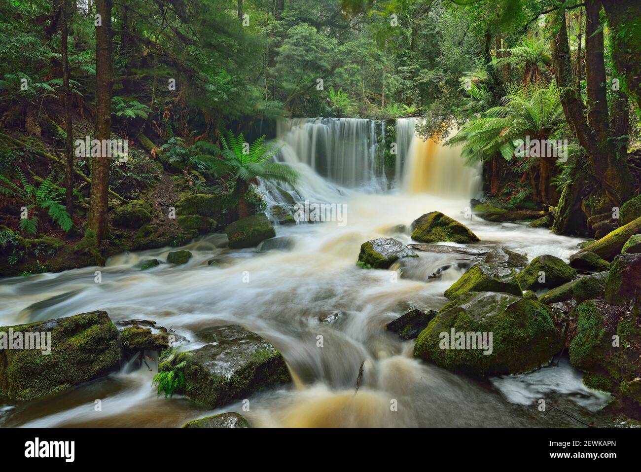 Australia water nature hi-res stock photography and images - Alamy