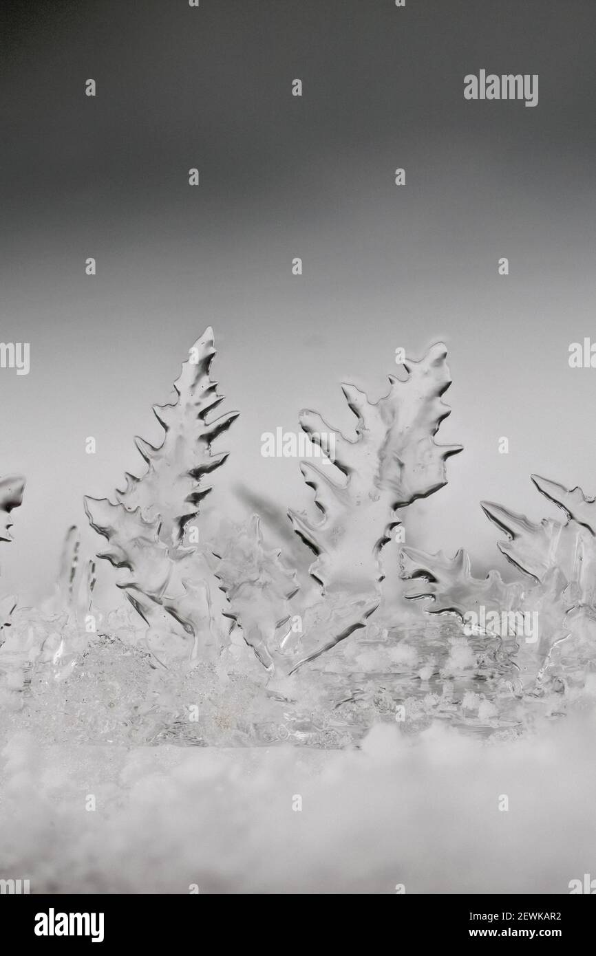 Ice crystal formations Stock Photo - Alamy