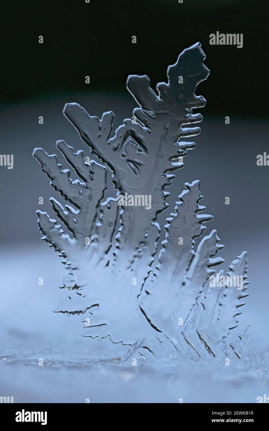 Ice crystal formations Stock Photo - Alamy
