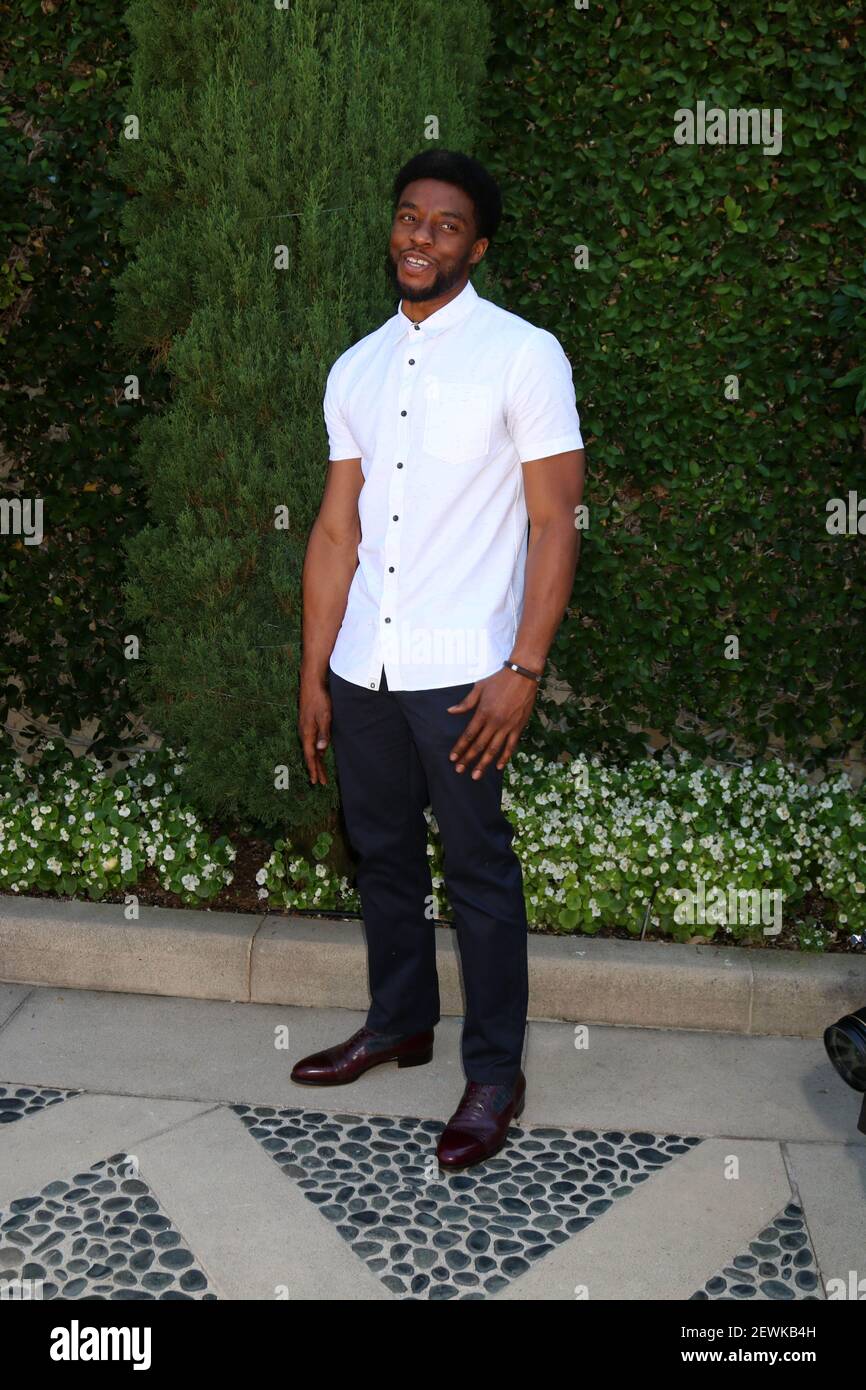 Chadwick Boseman at The Rape Foundation's Annual Brunch at a Private ...