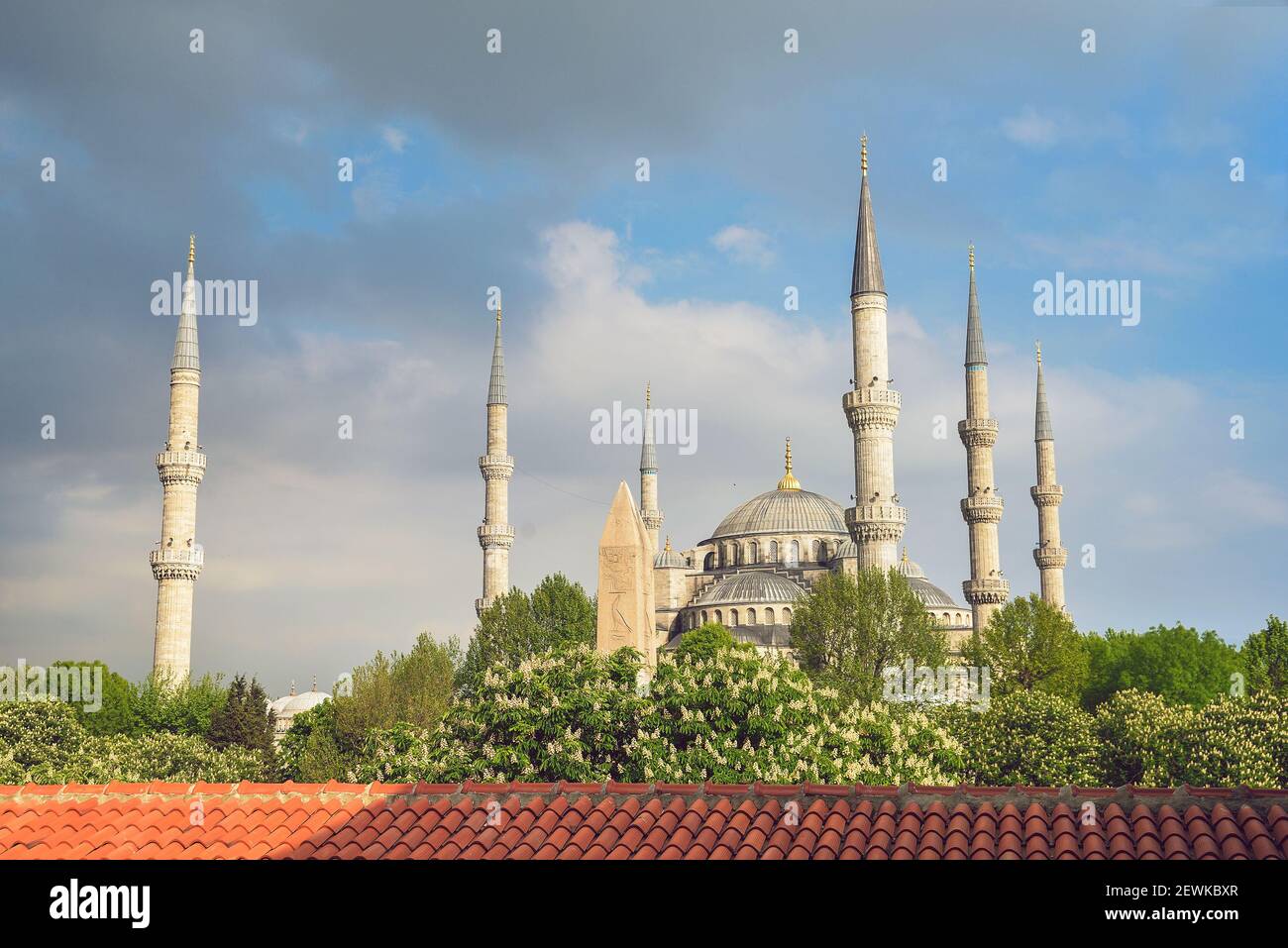 top view of the Blue Mosque in Istanbul Stock Photo - Alamy