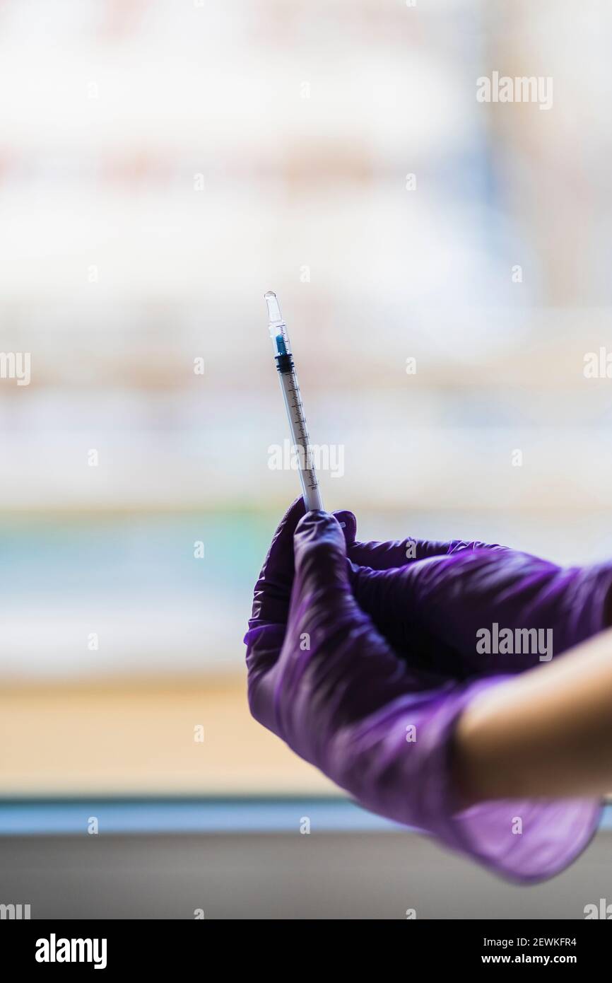 Hands with purple gloved nails hold a syringe in which there is ...