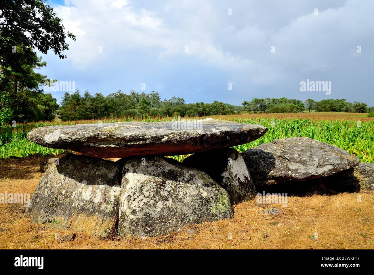 Dolmen ""Pedra da Arca"" close to Baiñas, Vimianzo, A Coruña, Spain ...
