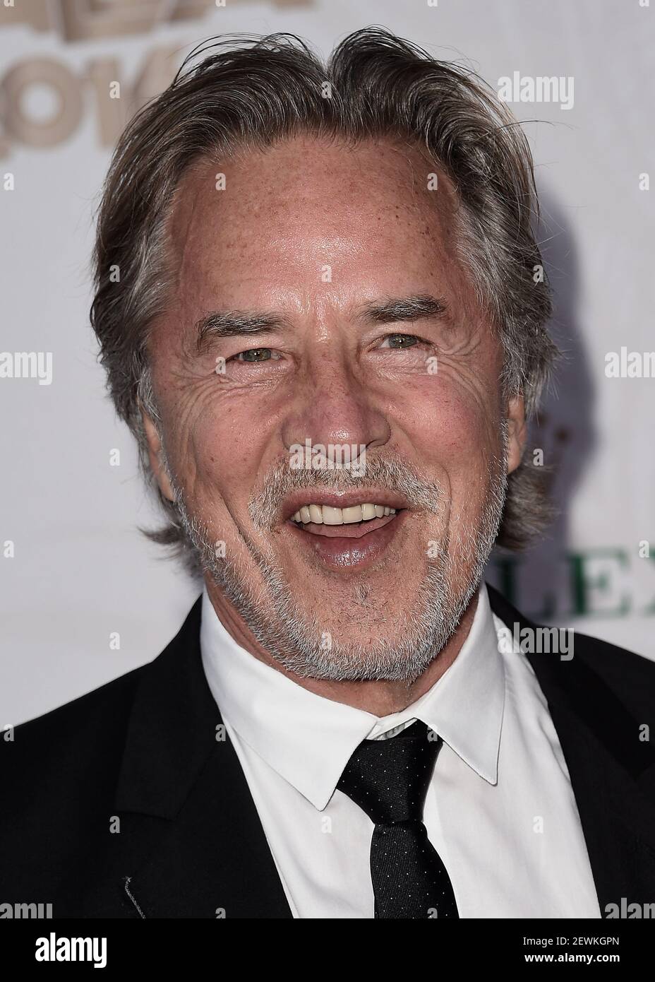 Don Johnson at the 2016/17 Los Angeles Philharmonic Opening Night Gala ...